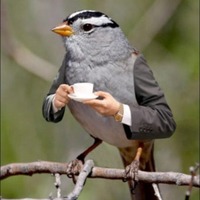 Tonya Rogers - The United States (912 books)