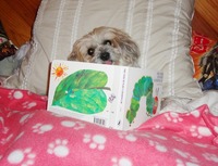 SAB - Sydney, Australia (850 books)