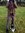 The Nurture Assumption: Why Children Turn Out the Way They Do by Judith ...
