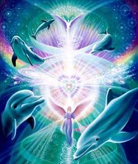 Katie Shell - The United States (74 books)