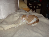 Sara Tejeda (goodreadscomcakelady34) - Rosenberg, TX (170 books)