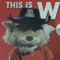 Brian Bolinger - The United States (2 books)