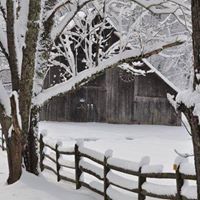 Stephanie Rouse - The United States (85 books)