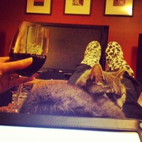 Fiona Gunn - Sydney, 02, Australia (1,502 books)