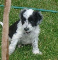 Brenna Wilson (3,258 books)