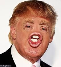 Ronald Dump (jimmyisthemaster) - boochbeard bundola land, crepe ...