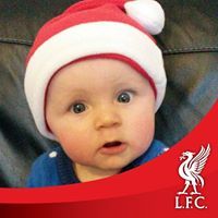 liam cook - The United Kingdom (312 books)