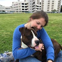 Laura Needham - Minatitlan, Ve (47 books)