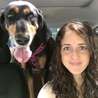 Jamie Lynn - Chattanooga, TN (446 books)