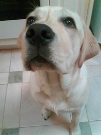 Paula Brandon - Perth, 08, Australia (3,389 books)