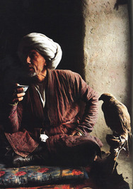 ahmad galal (galalovich) - cairo, Egypt (388 books)