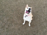 Alyssa Danielle (11,945 books)