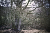 Kevin Crouch - Columbia, SC (444 books)