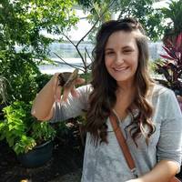 Amanda Maxwell (2,054 books)