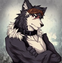 Shiron The Windragon - The United States (13 books)