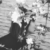 Sana Raoof (sanaraoof) - apeldoorn, 09, Netherlands (1,131 books)