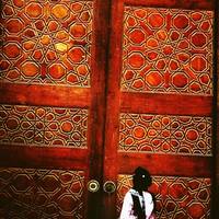 Basma Salem (224 books)