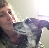 Julie Bernhardt - Duluth, MN (428 books)