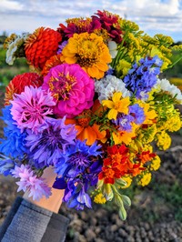 Charmander (680 books)