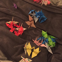 Annika Brooks - Portland, OR (51 books)