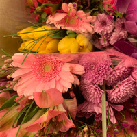 yeobin - The United States (50 books)