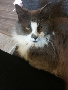 Rachael Phillips - Australia (201 books)