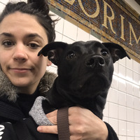 Juliet Grillo (drooliet) - Pennington, NJ (459 books)