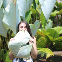 Diana Maria (Didaa) (dianamariadidaa) (497 books)