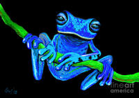 Sonja Hennessy (juilmgfe) - Bridgeport, CT (2,811 books)