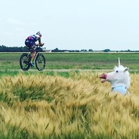 Justin Barbaree - Dahlonega, GA (347 books)