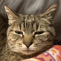 Zepora - The United States (903 books)