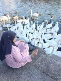 Nadia Masood (nadiamasood) (325 books)