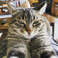 Heather - Seattle, WA (1,158 books)