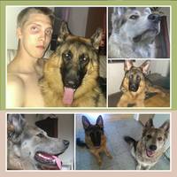 Rasmus Henriksson - Landskrona, 27, Sweden (2,691 books)