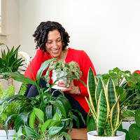 CeCe Carson - The United States (821 books)