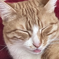 Alice Kristiansen (alicelk) (140 books)