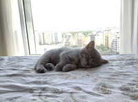 Noa - Tel Aviv, 05, Israel (333 books)