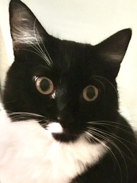 Shereen Martin (sera59) - New Port Richey, FL (765 books)