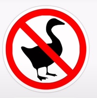 Sydney - Stuart, FL (155 books)