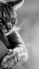 Feven Desalegn - Ethiopia (129 books)