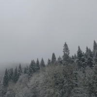 Eva Edwards - Cambridge, C3, The United Kingdom (200 books)