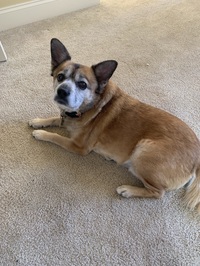 Ava Gallagher - The United States (327 books)