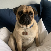 Jennifer Hadsell - Surprise, AZ (1,320 books)