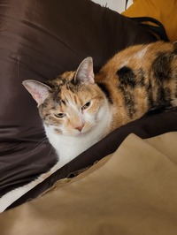 Confused Redneck - Minneapolis, MN (51 books)