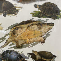 Ashley Laing - Minneapolis, MN (40 books)