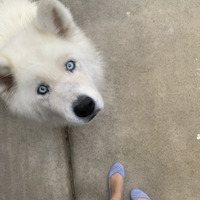 Amy apple - The United States (1,548 books)