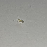 Shawn McComb - Canada (1,136 books)