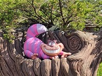 Alex Brailey-Black - The United Kingdom (8 books)