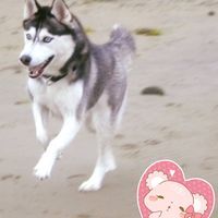 Angelika Gorobets - Põlva, 12, Estonia (3 books)