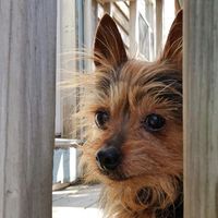 Joanne Felaccio - New Bedford, MA (348 books)